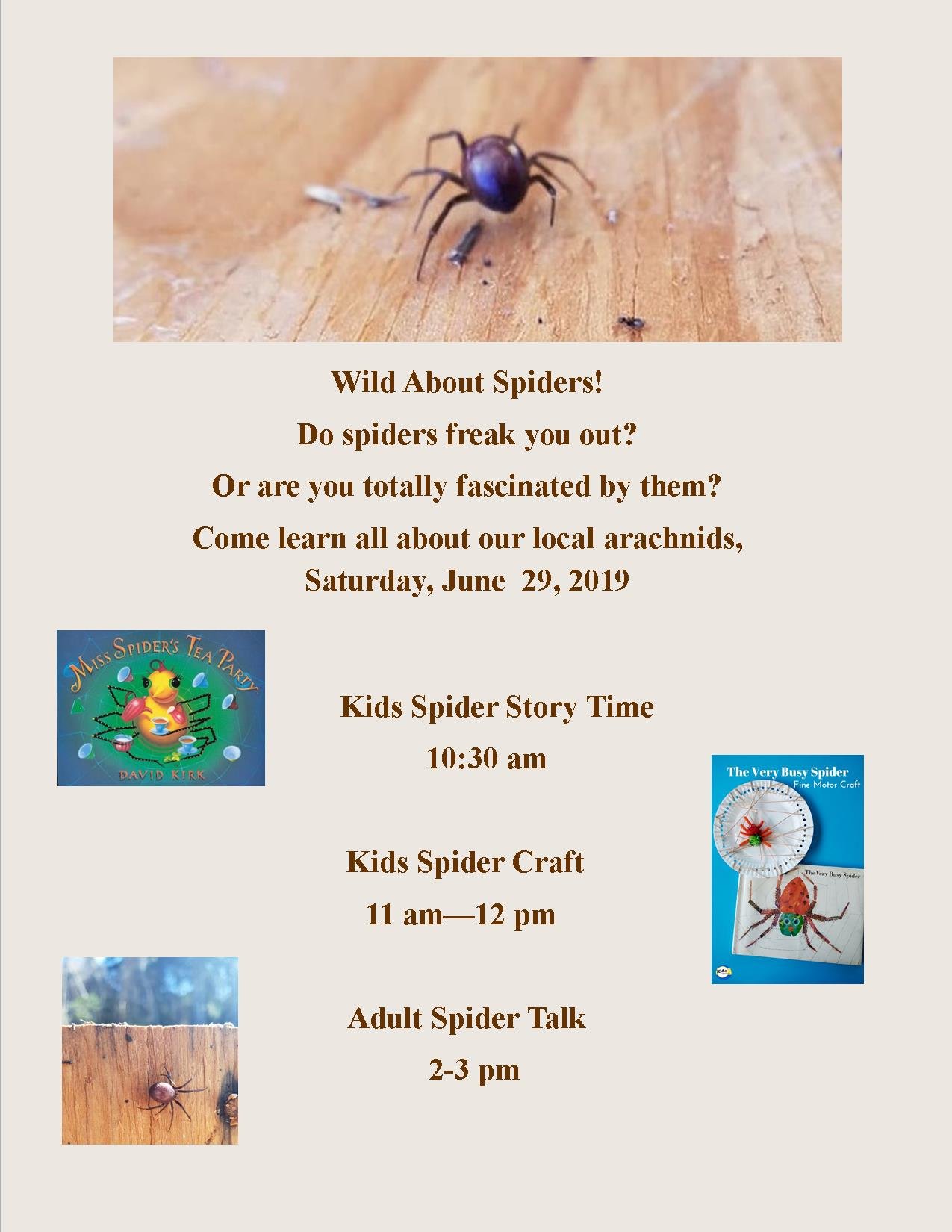 Wild About Spiders - Fort Bragg Library